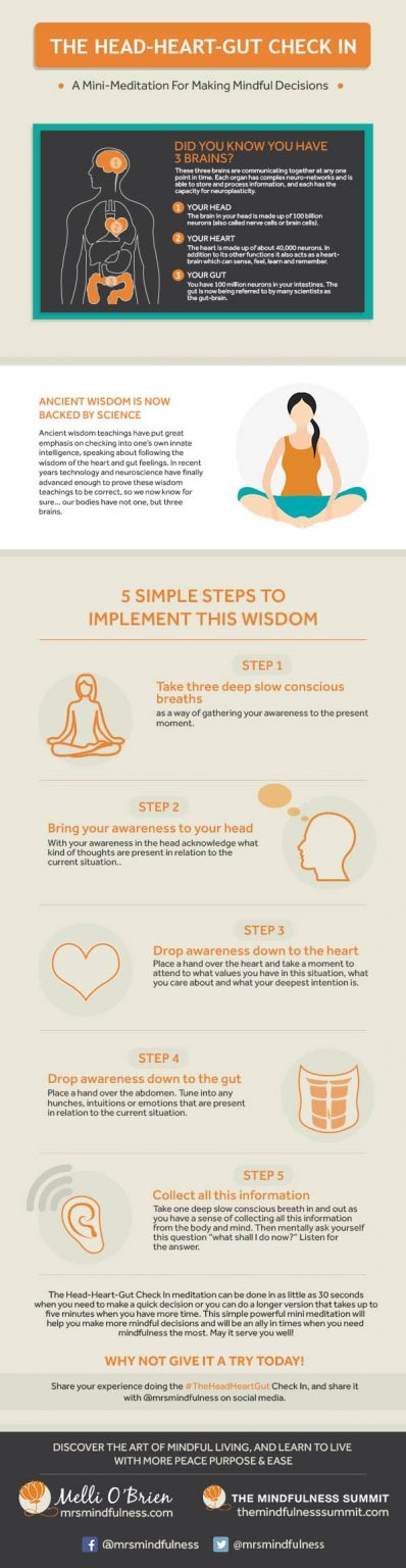 Head-Heart-Gut Check In And Meditation To Make Wiser Choices