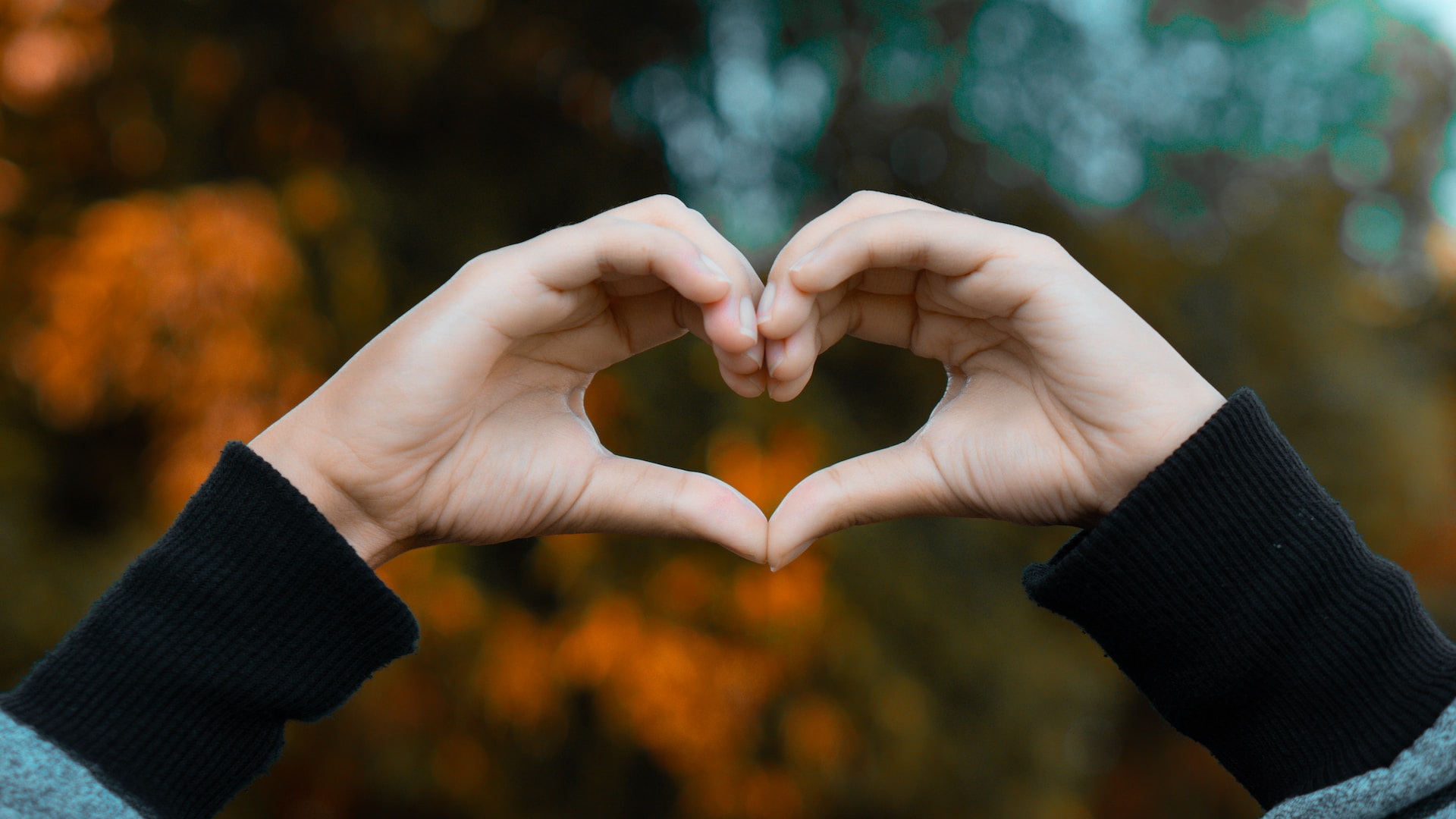 Head-Heart-Gut Check In And Meditation To Make Wiser Choices